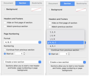 PDF-UX: Page Labels – PDF Association